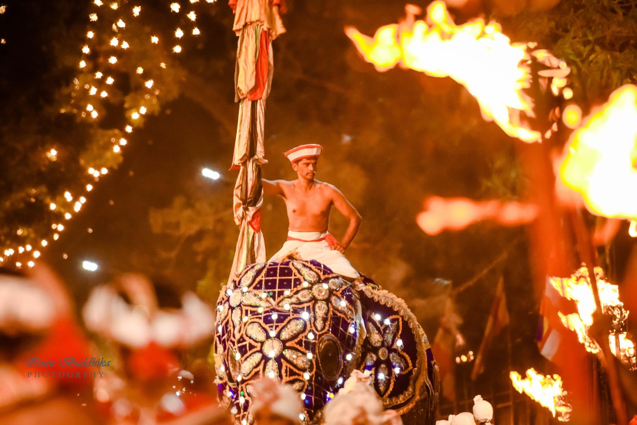 Kandy Esala Perahera - Beautiful Traditional Festival - WalkValue