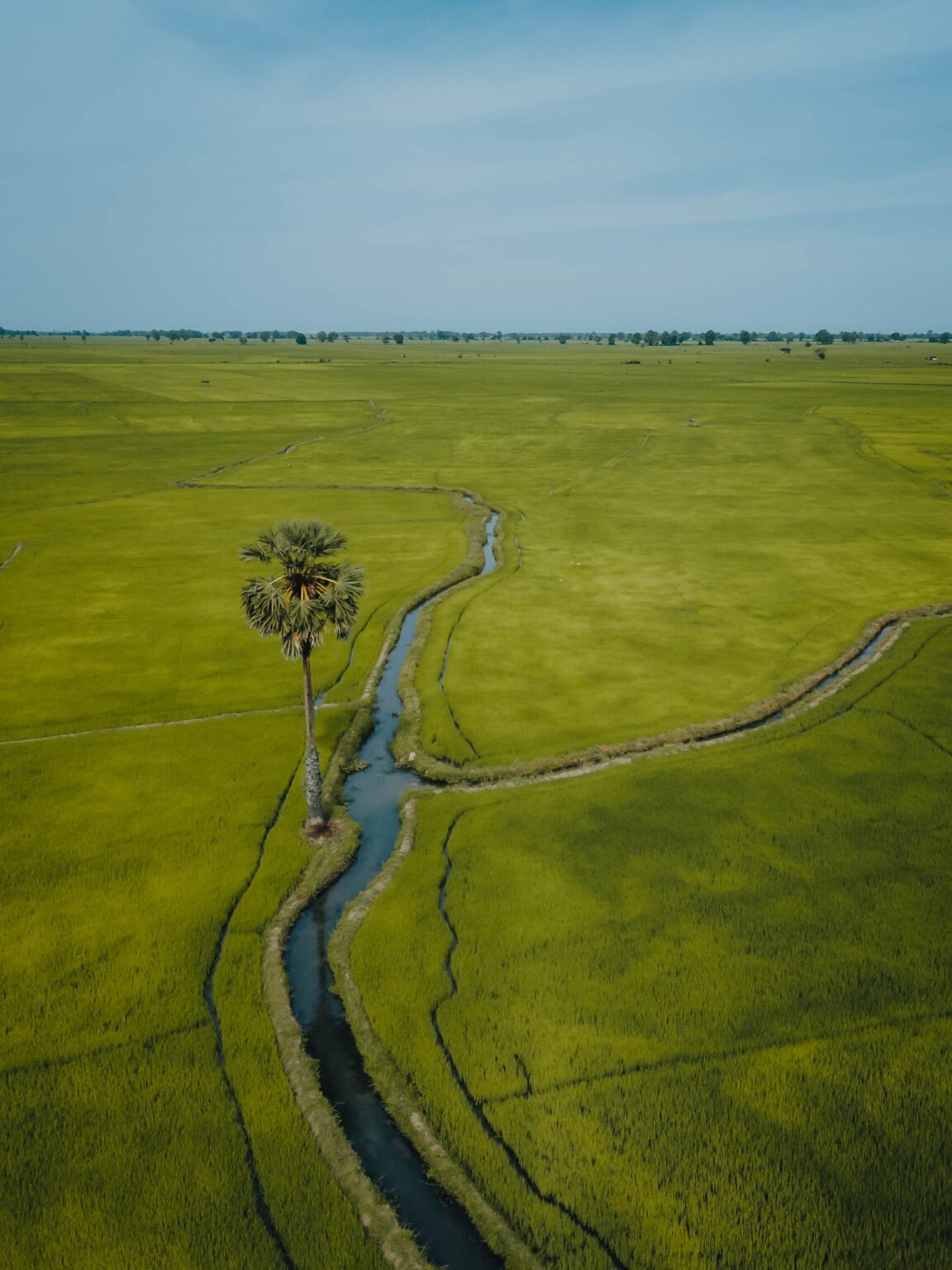 Ceylon Travel Guide - Unforgettable Experiences - WalkValue